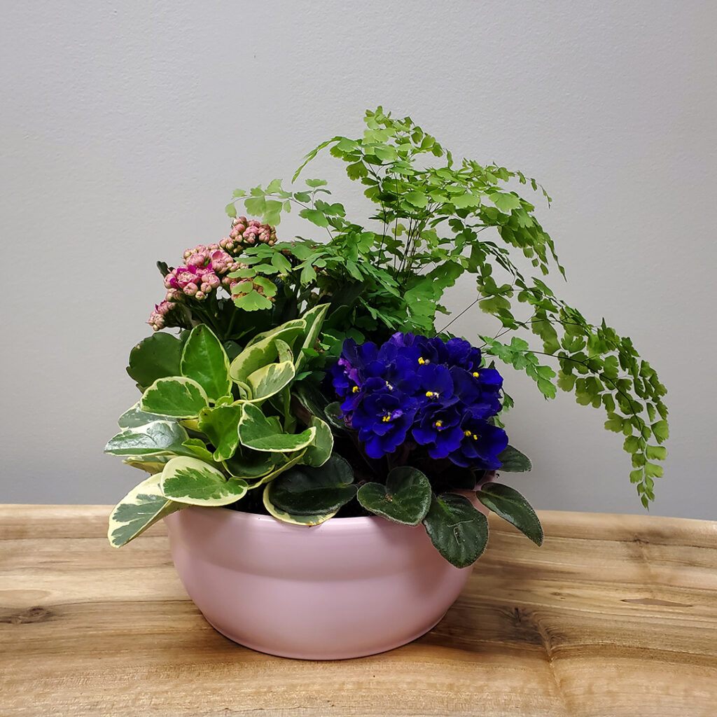 Spring Planter | Bella Vita Flowers